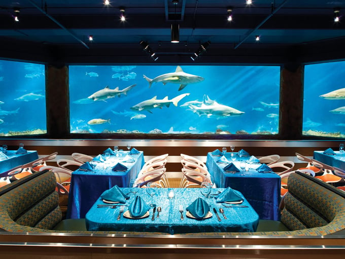 Sharks Underwater Grill 1