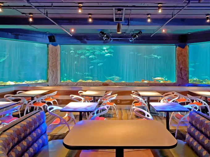 Sharks Underwater Grill 8