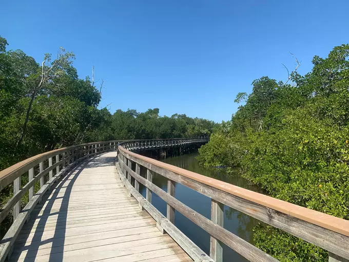 spoonbill trail 1
