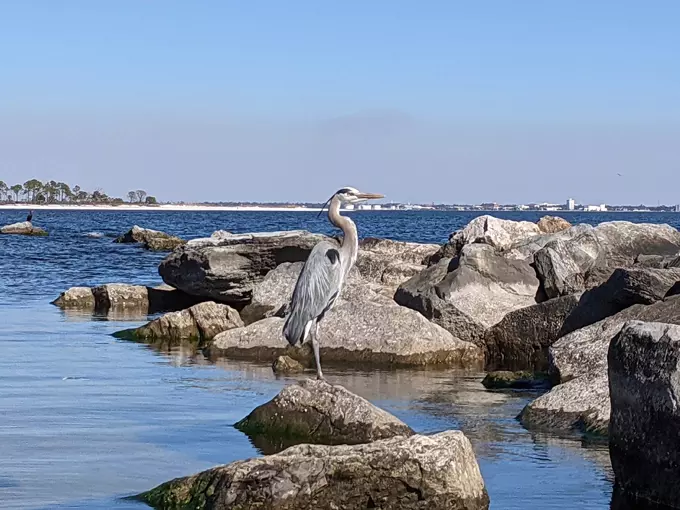 st. andrews state park 4
