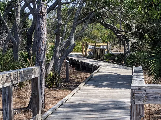 st. andrews state park 9