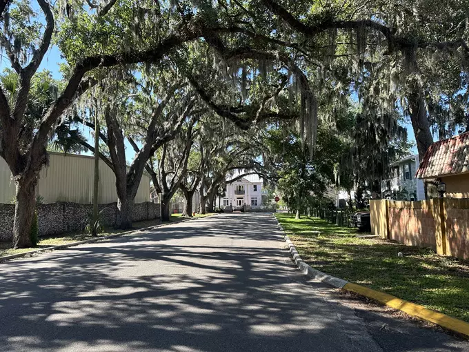 St. Augustine Oak Canopy 2