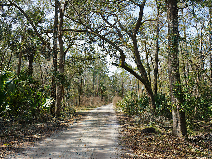 st. francis trail 2
