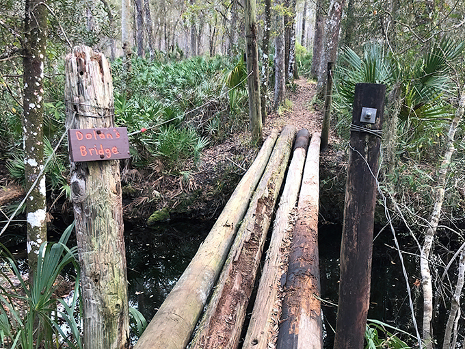 st. francis trail 3
