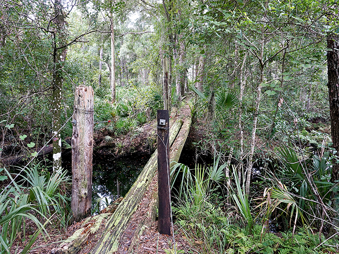 st. francis trail 4