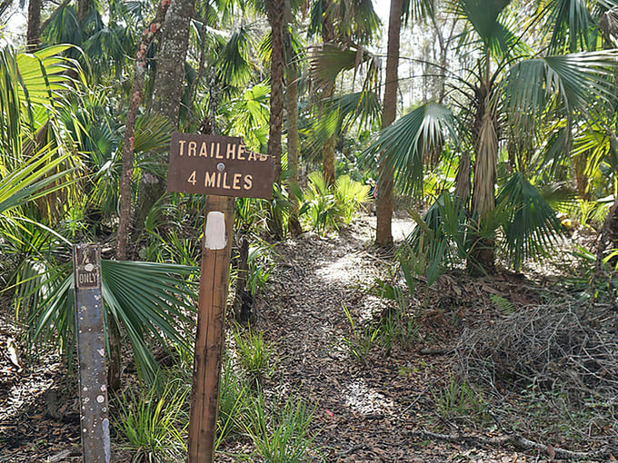 st. francis trail 5