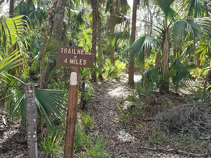 st. francis trail 5