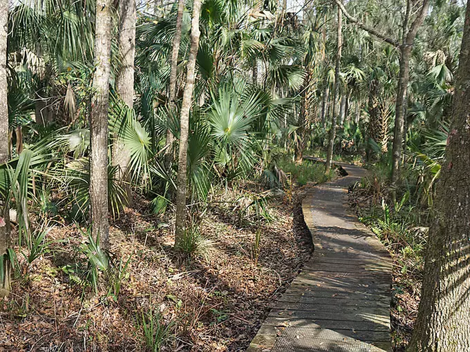 st. francis trail 6