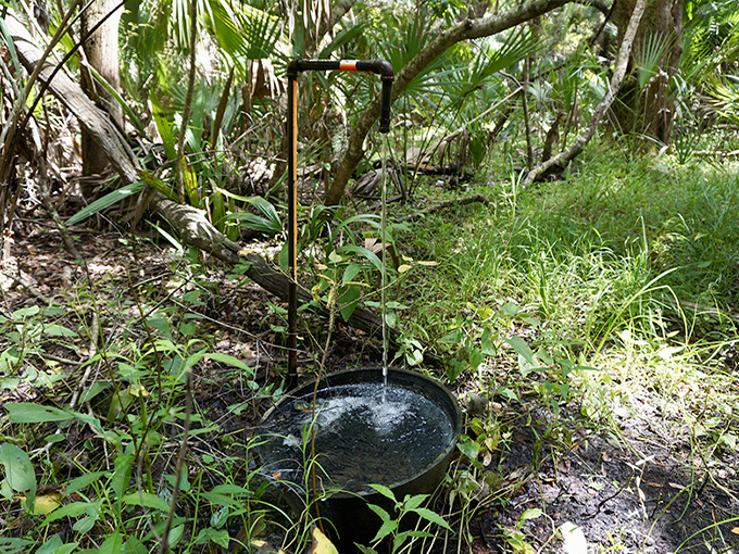 st. francis trail 7