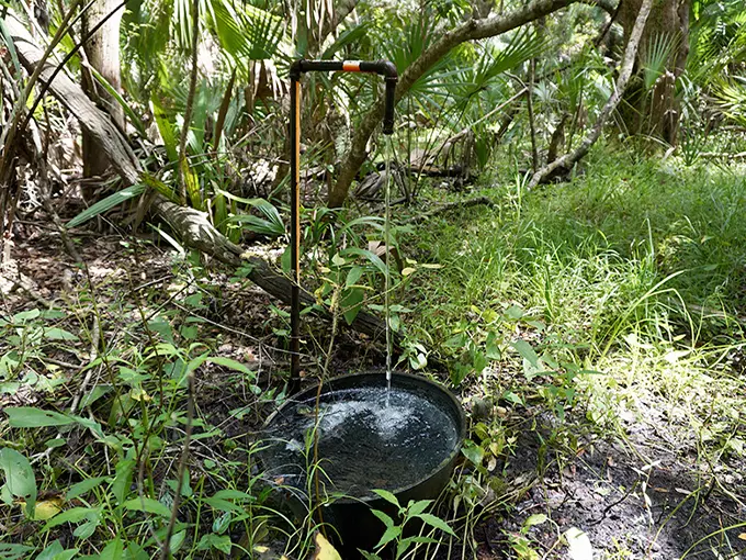 st. francis trail 7