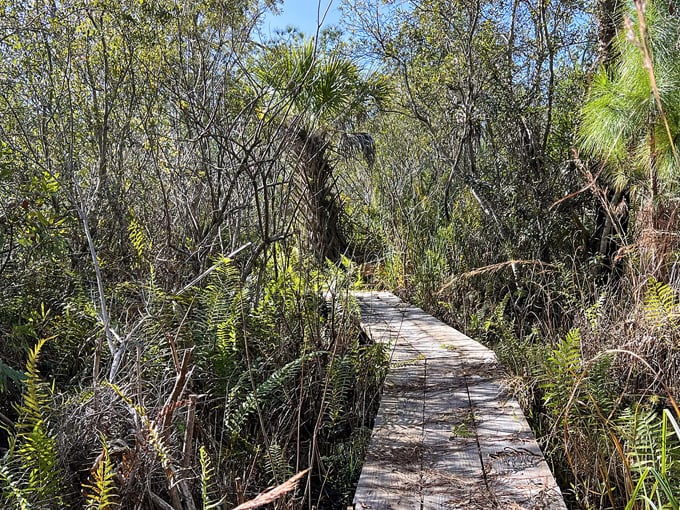 st. francis trail 9