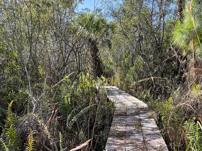st. francis trail 9