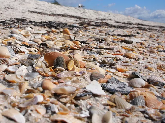 st. george island 5