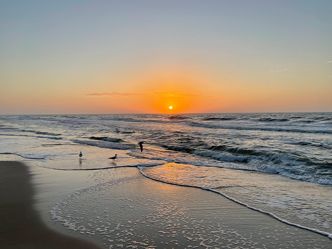 st. george island 9