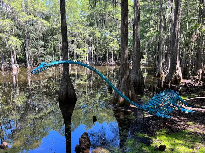 Tallahassee Museum 2