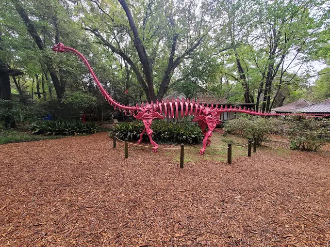 Tallahassee Museum 3