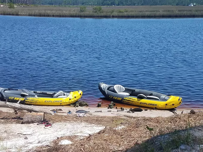 Tate's Hell State Forest 6