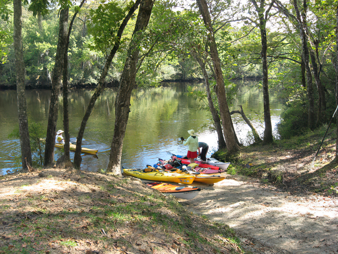 Tate's Hell State Forest 8