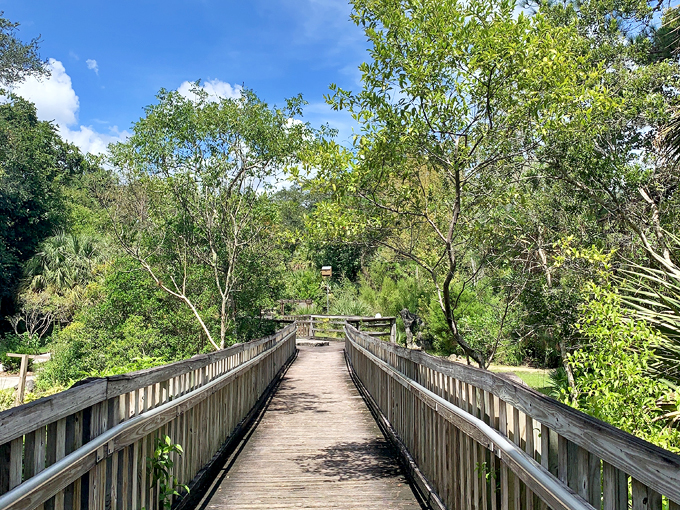 the enchanted forest sanctuary – titusville