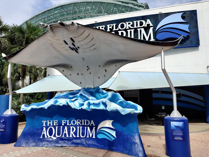 the florida aquarium 1