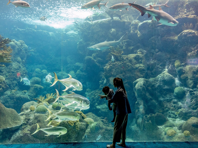 the florida aquarium 2