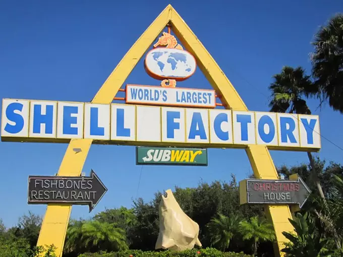 the shell factory 1
