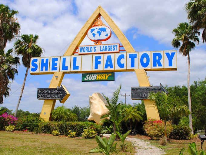 the shell factory and nature park 1