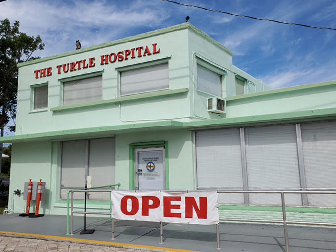 the turtle hospital 1