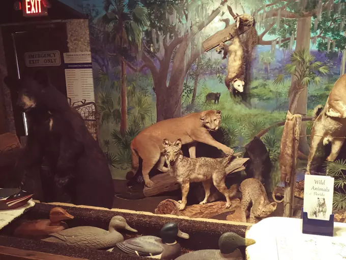 the yearling restaurant 6