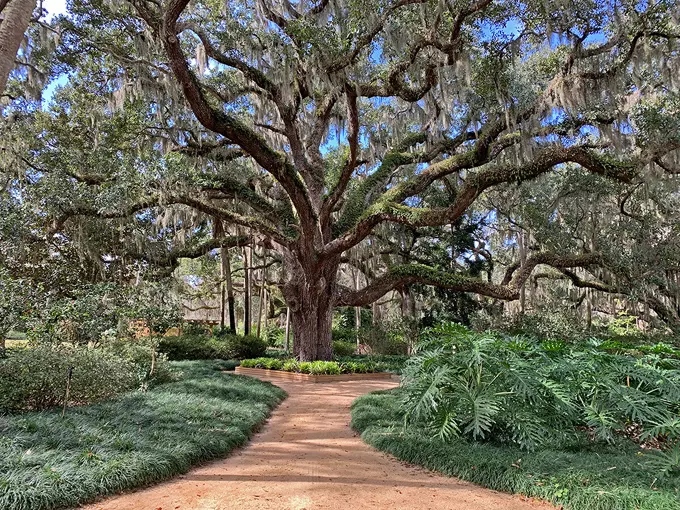 washington oaks state park 1