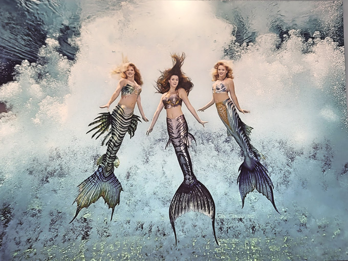 weeki wachee mermaid show 2