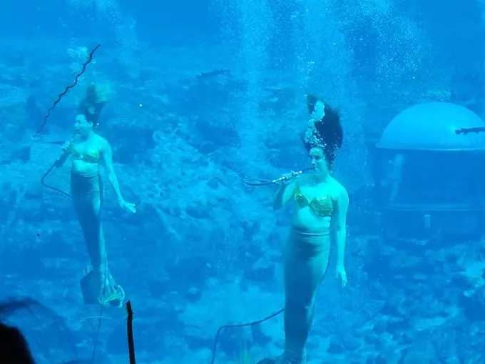 weeki wachee mermaid show 3