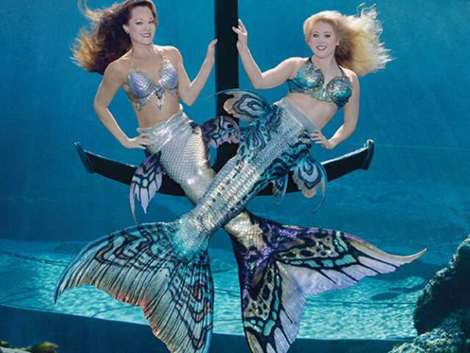 weeki wachee mermaid show 4