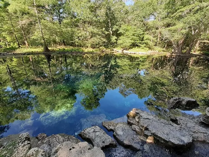 wes skiles peacock springs state park 1