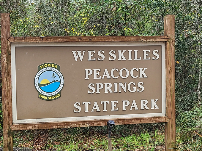 wes skiles peacock springs state park 8