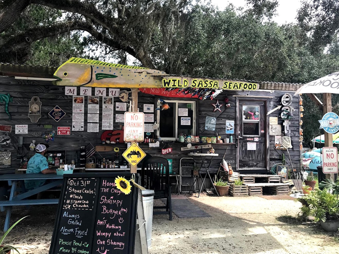 Wild Sassa Food Trailer 1