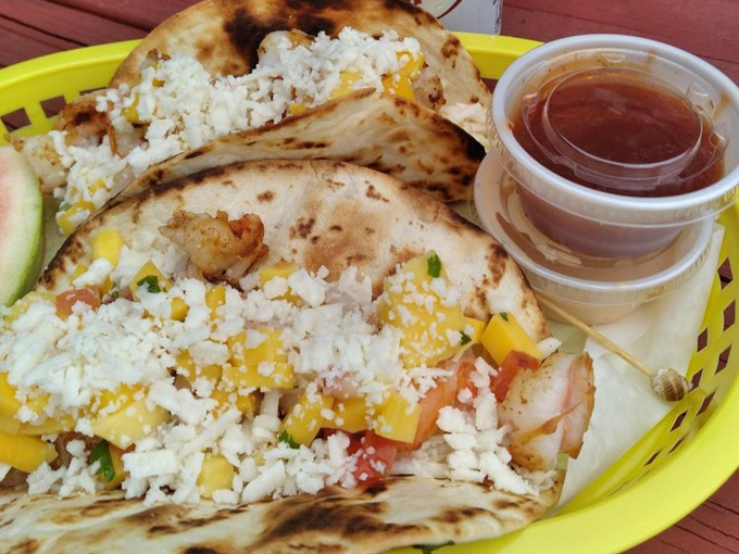 Wild Sassa Food Trailer 5