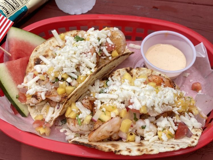Wild Sassa Food Trailer 6
