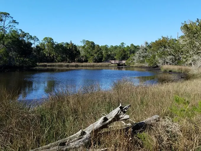 withlacoochee gulf preserve 1