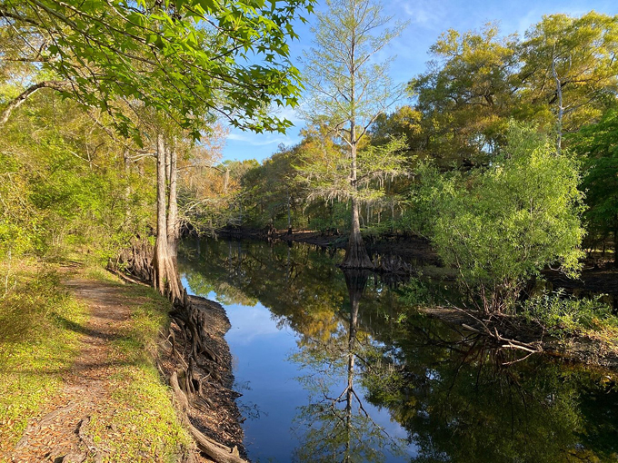 withlacoochee river park 2