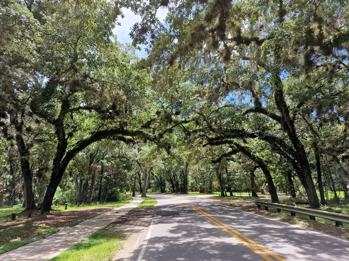 yulee sugar mill ruins historic state park 7