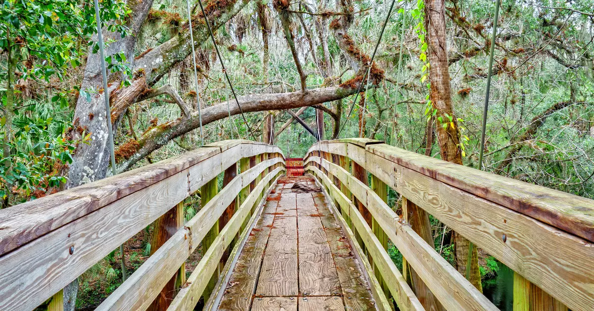 beginner friendly trail florida ftr