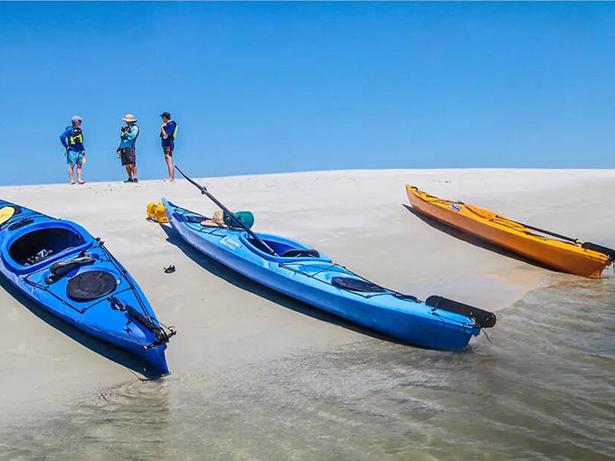 big talbot island boneyard beach 6