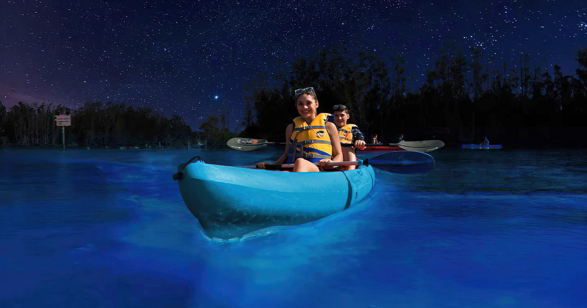 bioluminescent kayaking places florida ftr