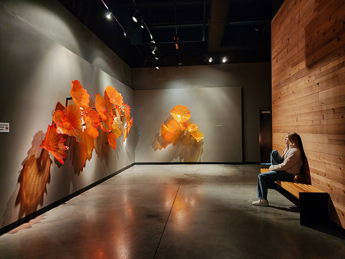 chihuly collection 7