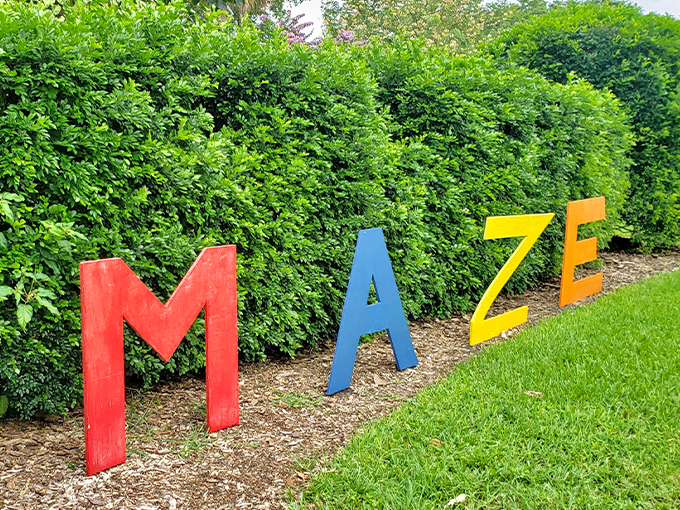 childrens maze 2