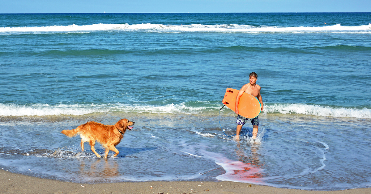 dog friendly beaches florida ftr