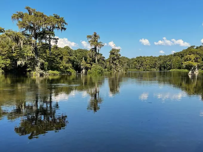 edward ball wakulla springs state park wakulla springs