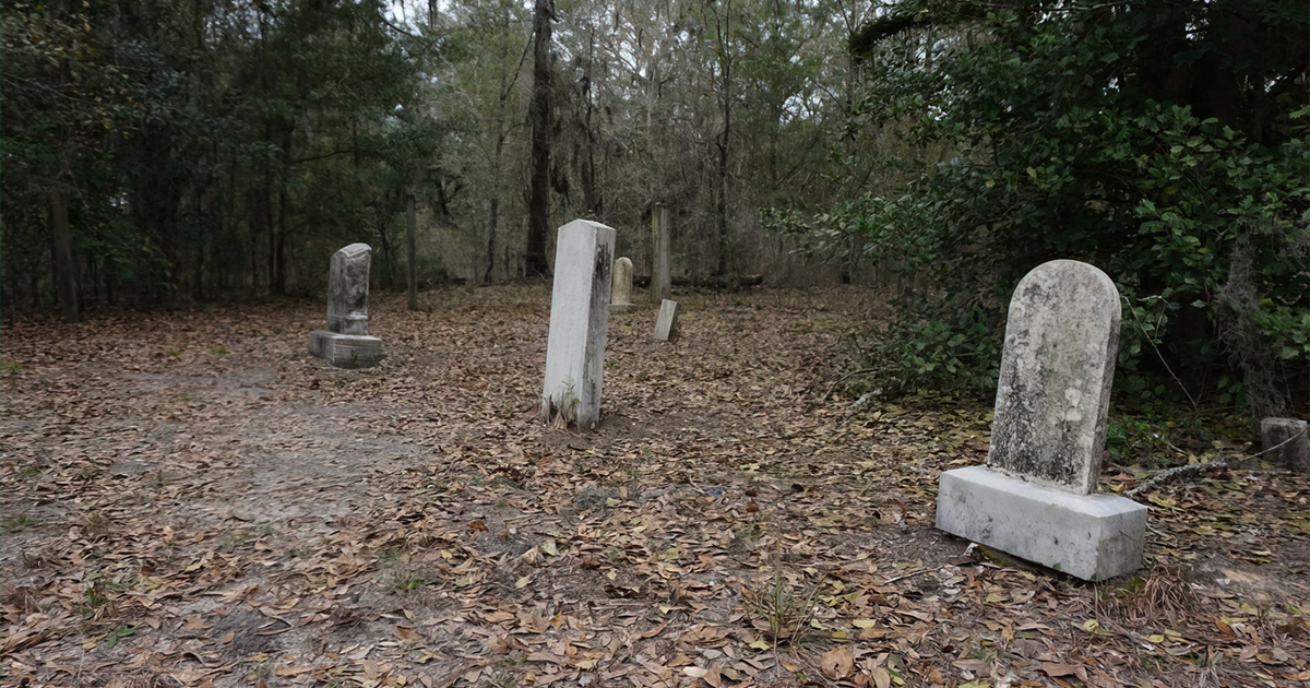 forest creepy cemetery florida ftr