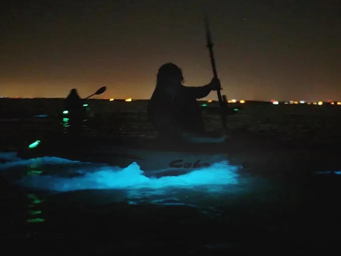 indian river lagoon 7